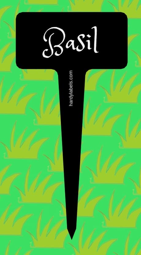 Engraved garden label for your herb bed – Basil - Hardy Labels