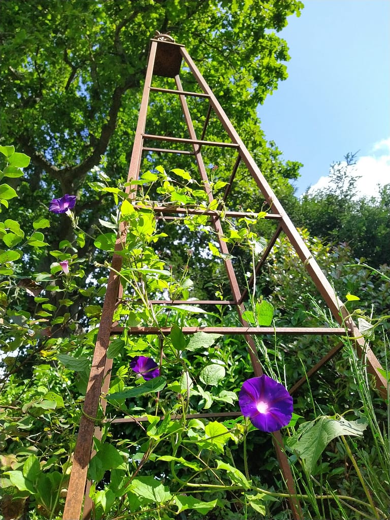 Laser engraved garden labels - Bespoke labels that last - Hardy Labels