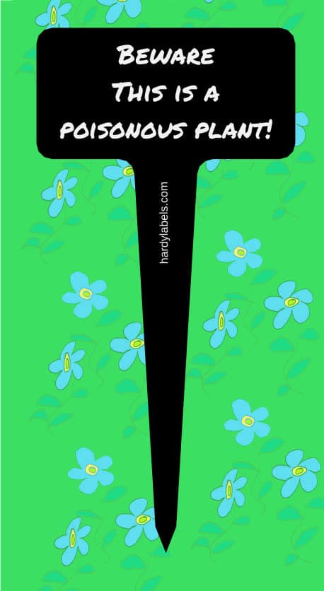 Engraved garden label for your garden – Beware this is a poisonous plant!