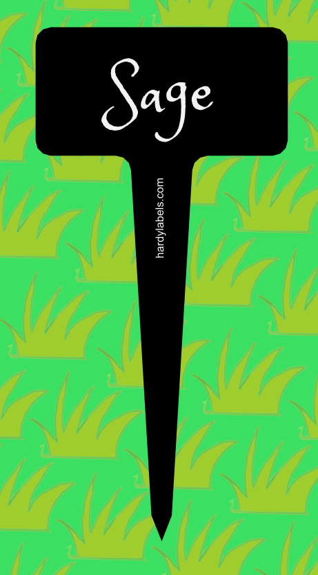 Engraved garden label for your herb bed – Sage - Hardy Labels